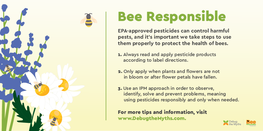 Bee Responsible - Debug the Myths